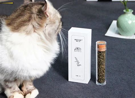 20g High Quality Appetizer Catnip Cat Food Catnip With Color Box