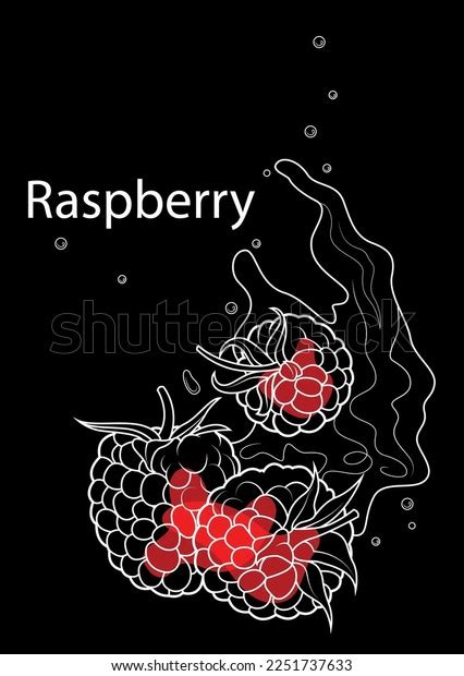 Raspberry Outline Drawing Inscription Drawing On Stock Vector Royalty Free 2251737633