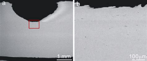 Sem Observations On The Metallographic Section Plane Of The Pit A” In
