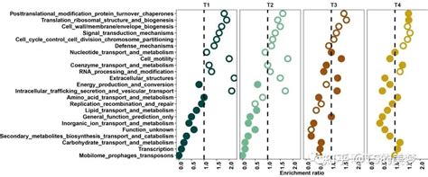 复现《nature Communications》图表：ggplot展示多组基因富集结果显著性区分 知乎
