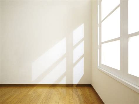 Indirect Light Examples In Daily Life Studiousguy
