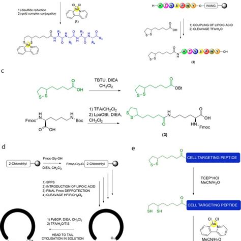 A The Strategy Of Au Iii Peptide Bioconjugates Synthesis B Synthesis Download Scientific