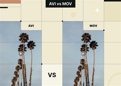 Mp4 Vs Mov Difference Between The Two Video File Formats