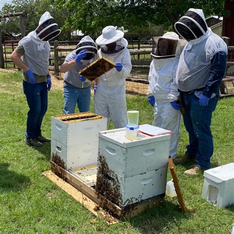Feb 1 2025 Beginners Beekeeping Class 69 Honey Top Bees