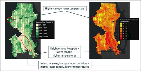 Next Steps And Additional Analysis Of The 2021 Tree Canopy Cover Assessment Greenspace