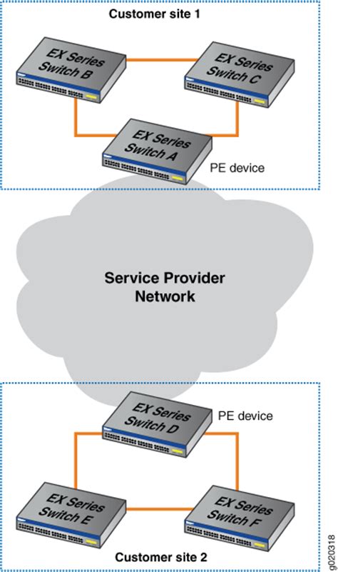 Layer Protocol Tunneling L PT Junos OS Juniper Networks