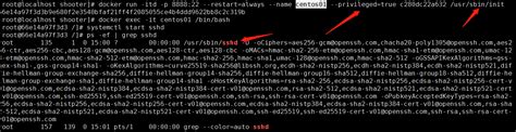 Docker容器里centos、unbuntu无法使用 Systemctl 命令 Shooter