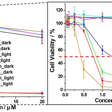 In Vitro Phototoxicity Total Light Dose 2 J Cm 2 For 15 Min And Dark Download Scientific