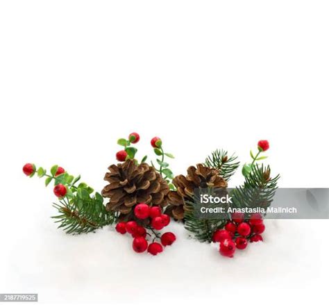 크리스마스 장식입니다 소나무 자연 원뿔 나뭇 가지 크리스마스 트리 빨간 열매 눈 와 텍스트 공간 0명에 대한 스톡 사진 및 기타 이미지 Istock