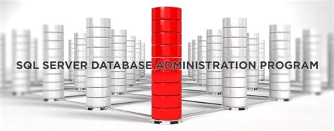 Do Microsoft Sql Database Administration Remote Support By Srinivasbugudi Fiverr