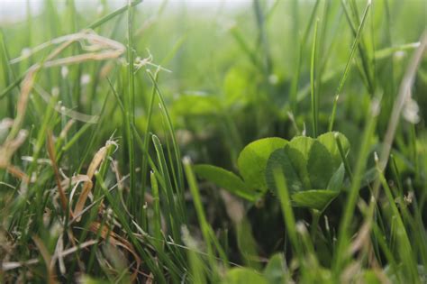 Depth Of Field DAVID S GCSE PHOTOGRAPHY