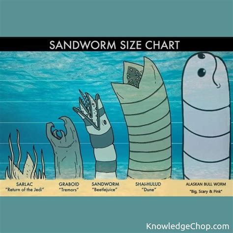For All Your Sand Worm Identification Needs 🥷 Knowledge Ninja