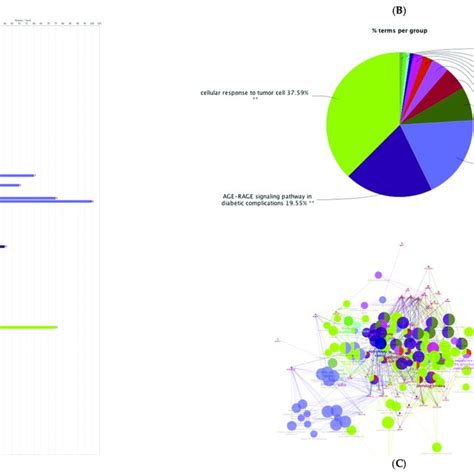 Forward And Reverse Primer Sequence For Quantitative Real Time Download Scientific Diagram