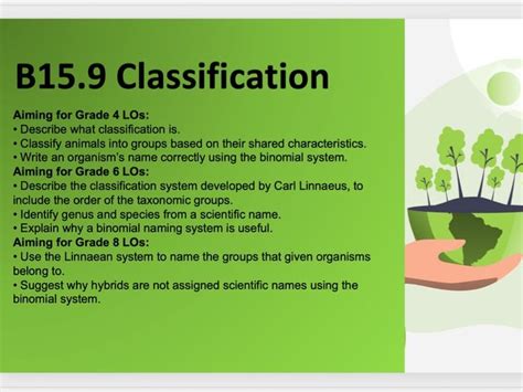 B159 Classification Teaching Resources