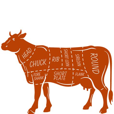 Beef Processing Springville Meat Company