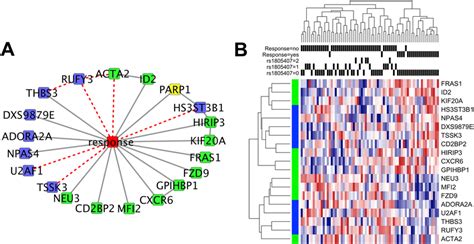 Conditional Gaussian Sub Network Around Response To Treatment With Edge Download Scientific