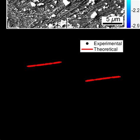 Surface Displacement Fields Measured By Dic A Experimental And