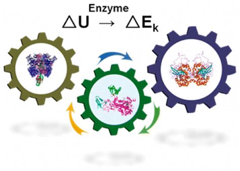 酶催化为微纳米机器提供动力acs Nano X Mol