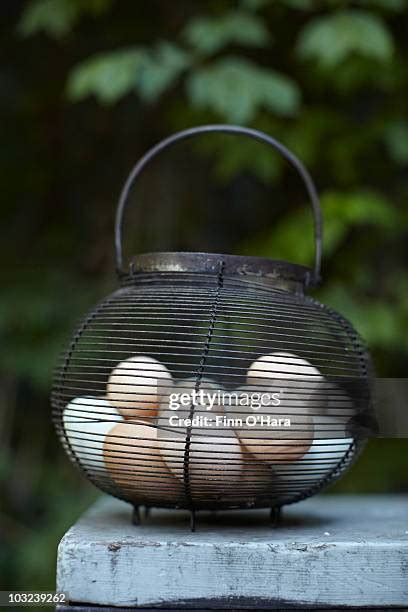 Metal Egg Basket Photos And Premium High Res Pictures Getty Images