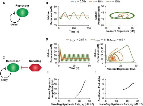 Figure 1 From Design Of Oscillatory Networks Through Post Translational Control Of Network