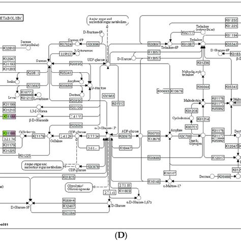 Functional And Pathway Annotation Comparison Of The Genes Assigned To