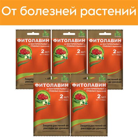 Фитолавин от болезней растений 2 мл х 5 шт купить на Ozon по низкой цене 1569820503