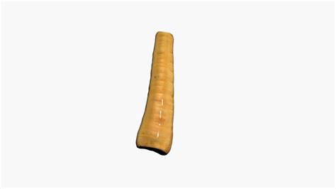 3d Model Parsnip 3d Scan High Quality Turbosquid 1747352