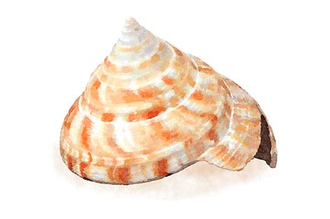 유토이미지 수채화 일러스트 소라6