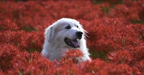 aws — 學習筆記 1 deploy env ec2 deploy vpc igw sg ec2 by 黃馨平 jackycsie medium