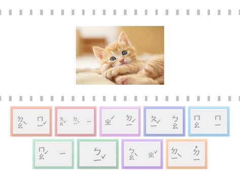 國語 第一課 複習 圖文辨認 Find the match