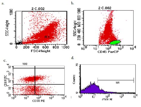 Gating Strategy For Cd838 T Cells Percentage Analysis Download