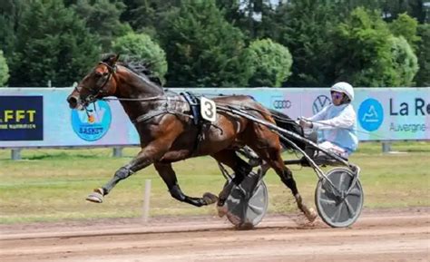 Fidel Turf A Reliable Source Of Turf Tips And Predictions Fideleturf High Quality Artificial