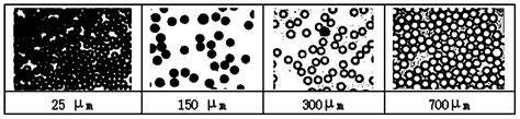 Preparation Process Of Homogeneous Functional Polymer Microspheres