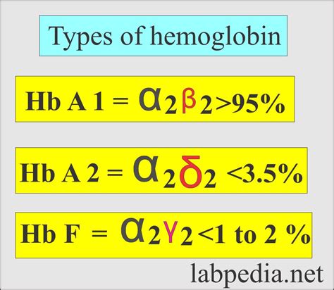 Hemoglobin Part 1 Hemoglobin Hb Structure And Functions