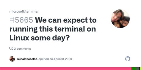 We Can Expect To Running This Terminal On Linux Some Day · Issue 5665