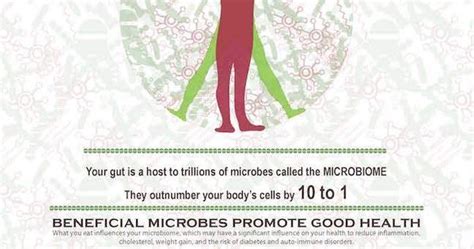 Nih Bmi Calculator Nipodbh