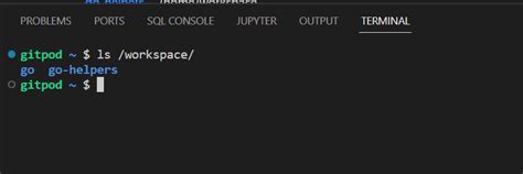 Do Not Use `workspacelocation` When The Path Is Invalid And Show Error Notication On Vscode
