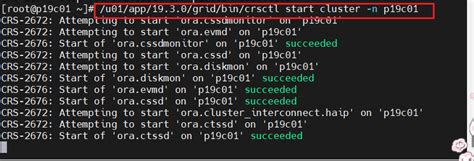 oracle rac集群启停 oracle rac 启停 csdn博客