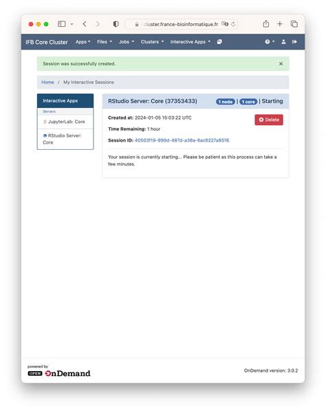 Starting A Rstudio Server Open OnDemand Hosted By IFB Cluster