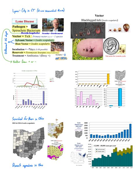 Week 6 Lyme Disease Lecture Notes Lyme Disease Pathogen