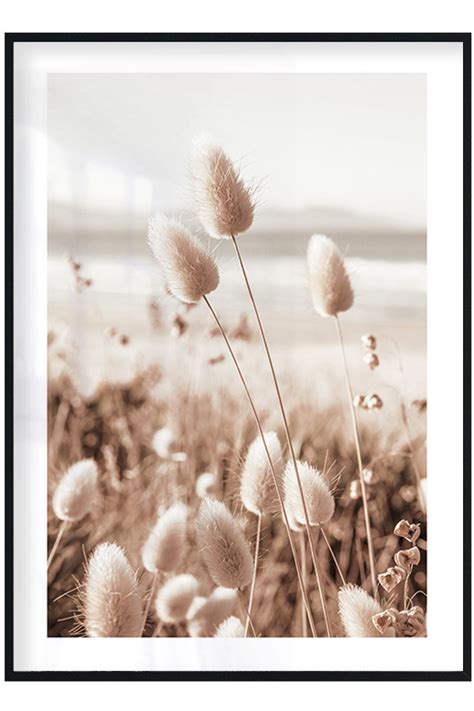 Постеры на стену ботаника постеры растения и цветы Botanical Art постеры цветы