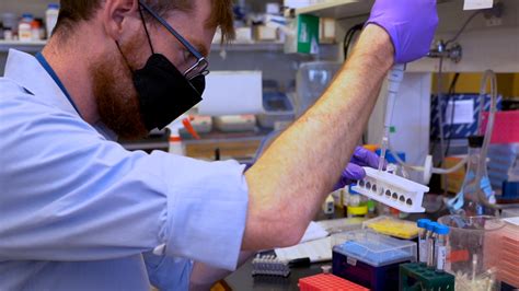 Video Multiplexed Analysis Of Retinal Gene Expression And Chromatin