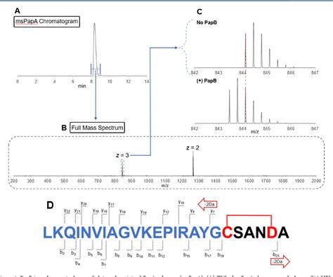 Figure 1 From Leveraging Substrate Promiscuity Of A Radical S Adenosyl