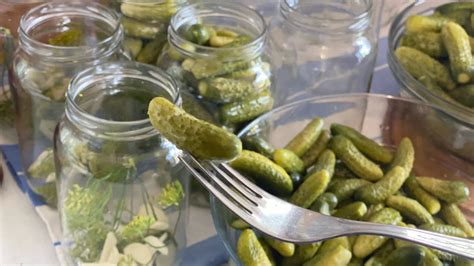 Огірочки " НА ЗУБОК " // малосольні і квашені огірки. - YouTube
