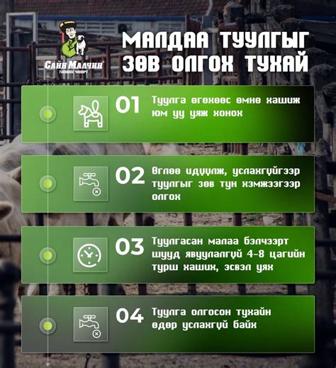 ДУНДГОВЬ АЙМГИЙН МАЛ ЭМНЭЛГИЙН ГАЗАР