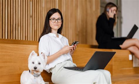 Mobile Developer Salary In The Us Complete Guide Q4 2023