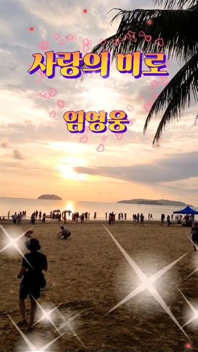 임영웅💓사랑의 미로💓사랑의 콜센타 신청곡📣2024529 Youtube