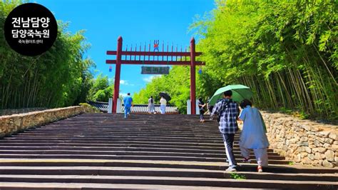 전남 여행지 추천 담양 가볼만한 곳 죽녹원 입장료 주차장 네이트뷰