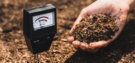 The Importance Of Soil Analysis How To Guide Agrivi