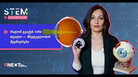რატომ გვაქვს ორი თვალი — მხედველობის მეცნიერება ნინო ბერიშვილი Stem მარტივად Youtube
